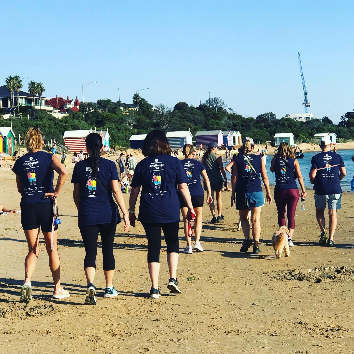 Home - Team Sport 4 All